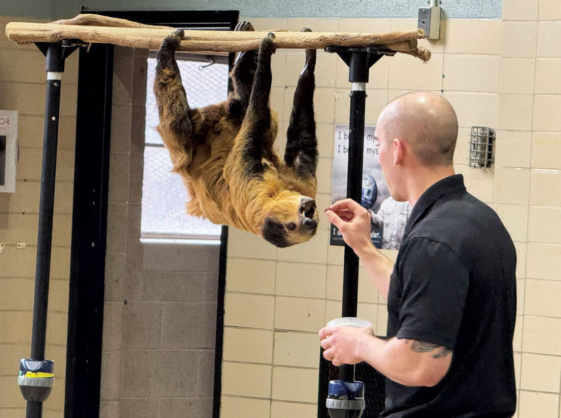 Rank and Phylum: Columbus Zoo ambassadors wow Marietta students with ...
